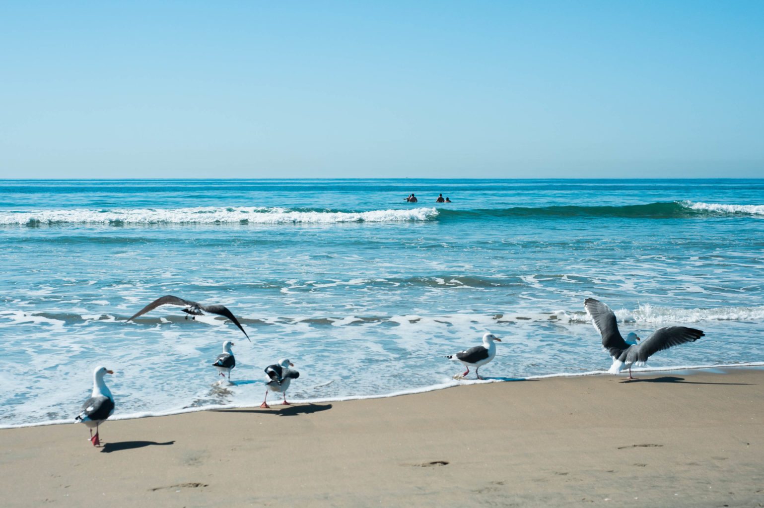 Newport Beach California - Oak + Oats