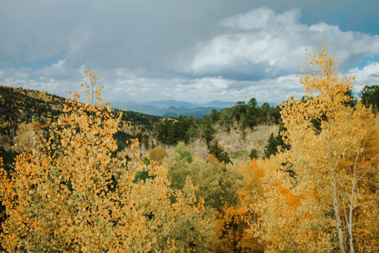 What to do near Colorado Springs in the Fall – Oak + Oats