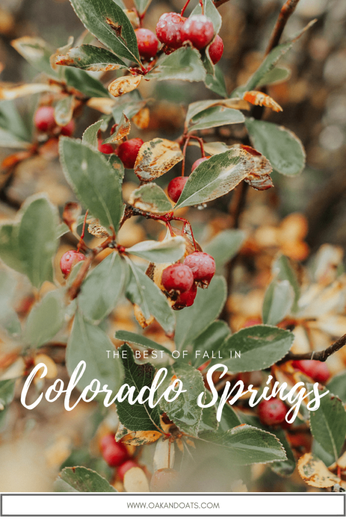 What to do near Colorado Springs in the Fall – Oak + Oats