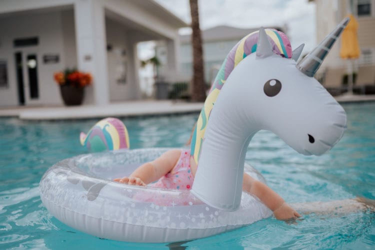 Surviving my first Hurricane, Florida News, & Pivoting Plans – Oak + Oats