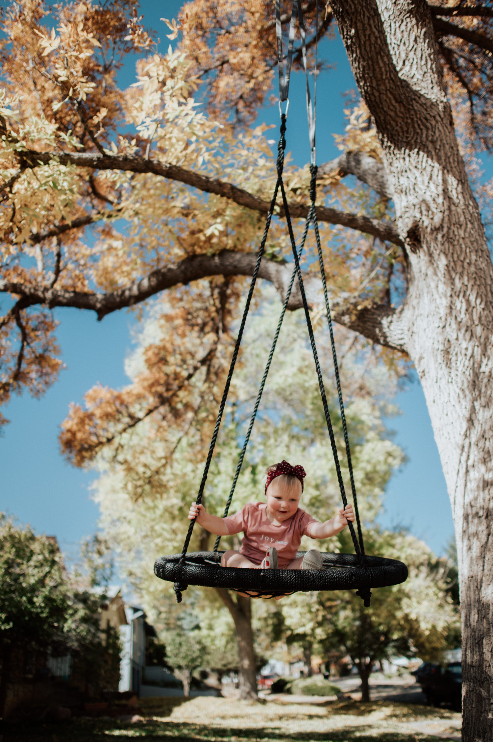 Swinging into fall – Oak + Oats