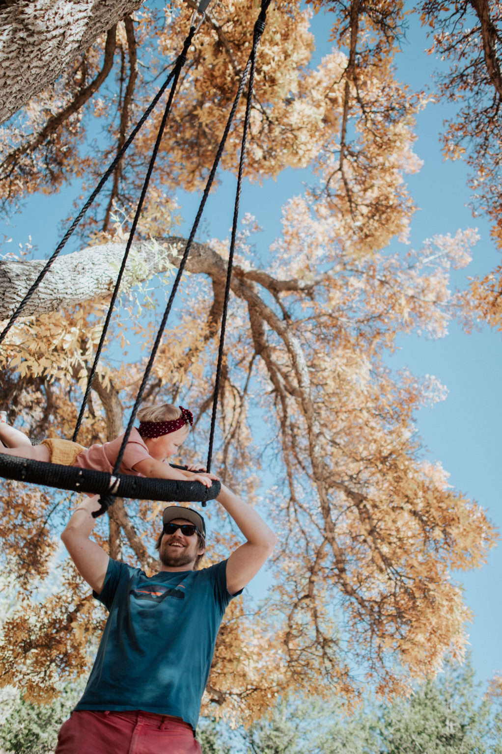 Swinging into fall – Oak + Oats