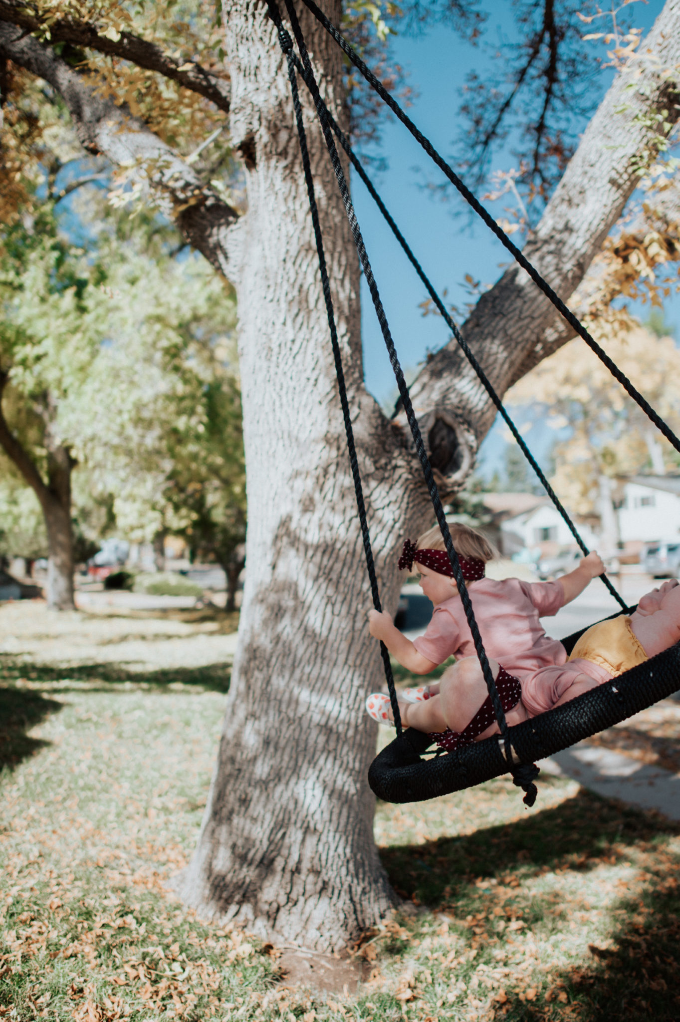 Swinging into fall - Oak + Oats