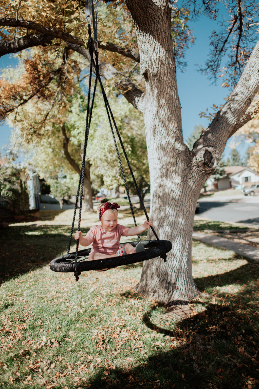 Swinging into fall – Oak + Oats