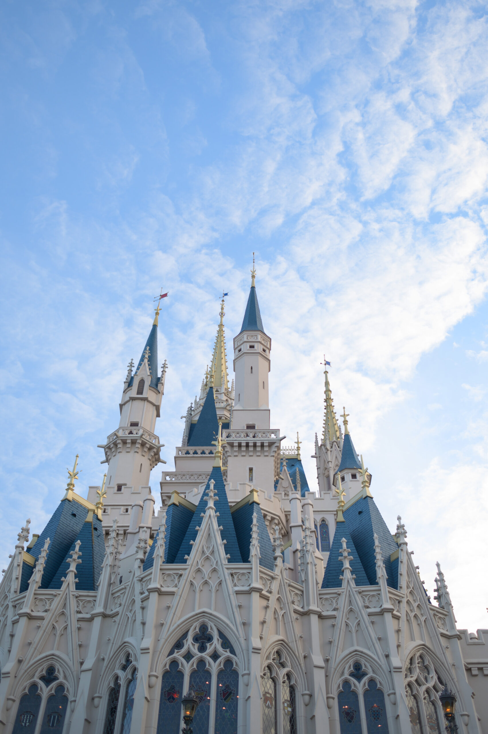 Tips for Taking Magical Photos at Disney - Oak + Oats