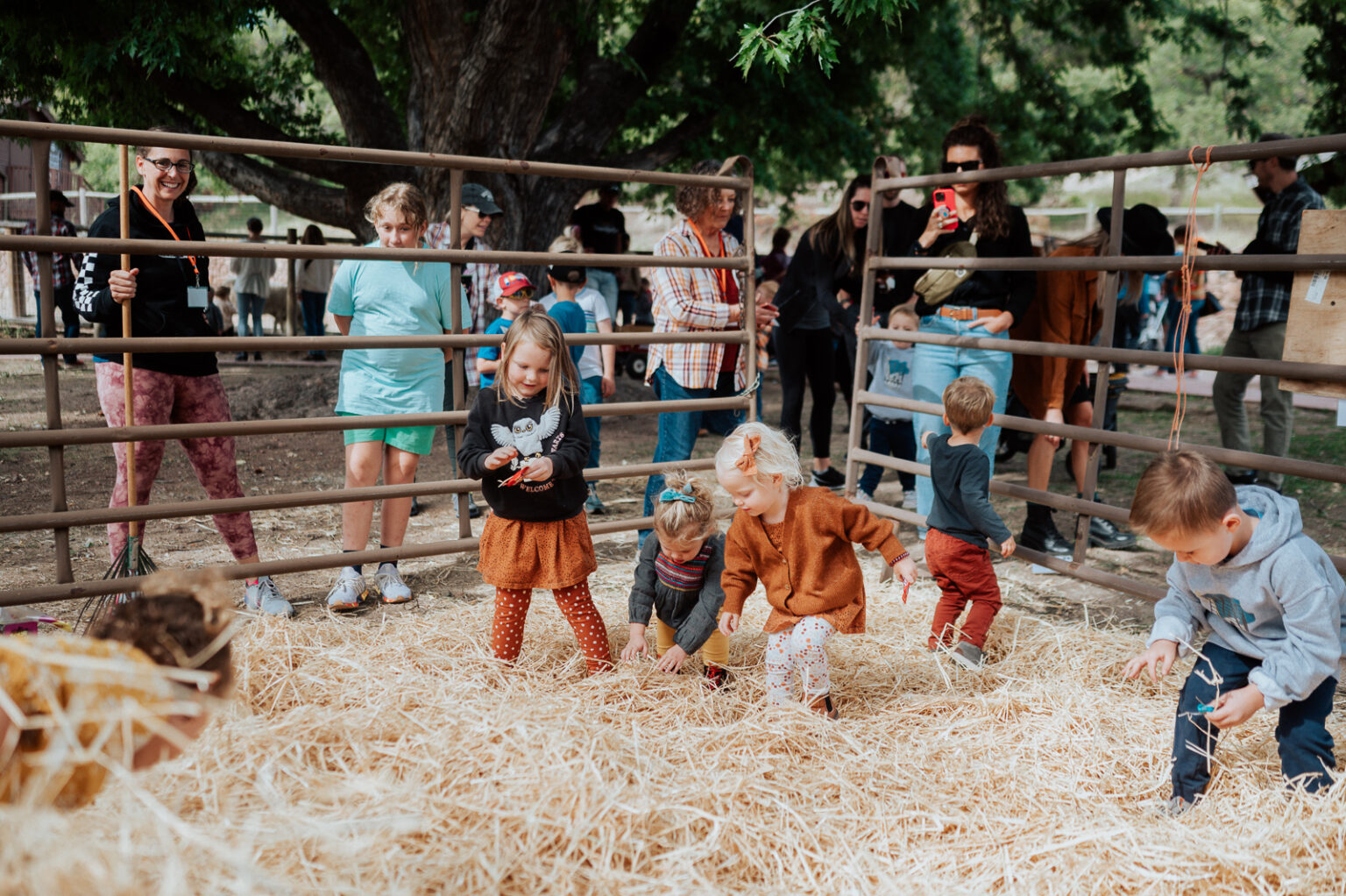 The Harvest Festival – Oak + Oats