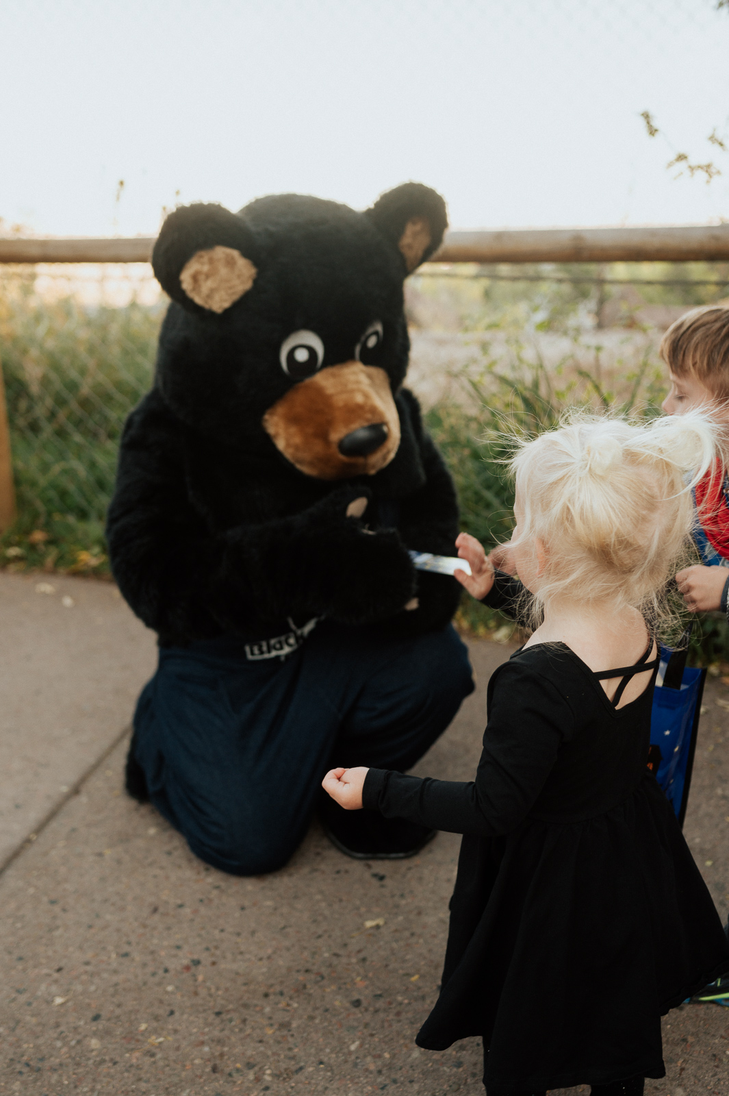 Boo at the Zoo: A Classic Halloween – Oak + Oats