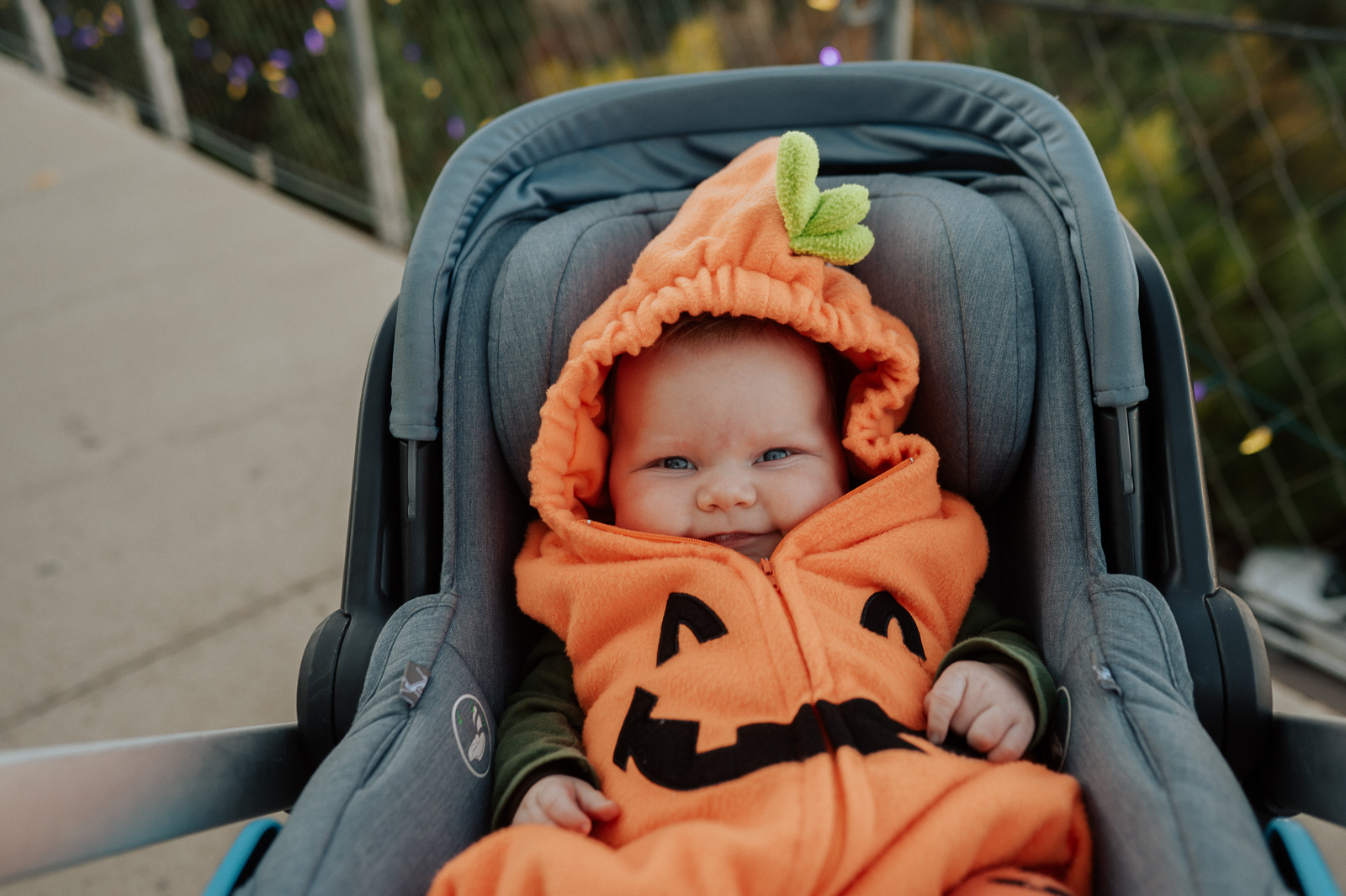 Boo at the Zoo: A Classic Halloween – Oak + Oats