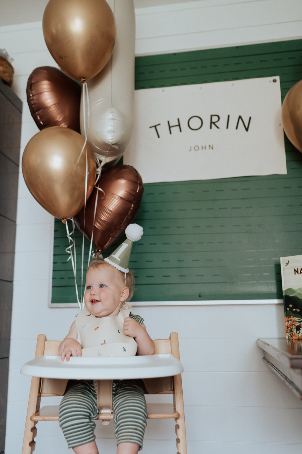A National Parks First Birthday for Our Wild One - Oak + Oats