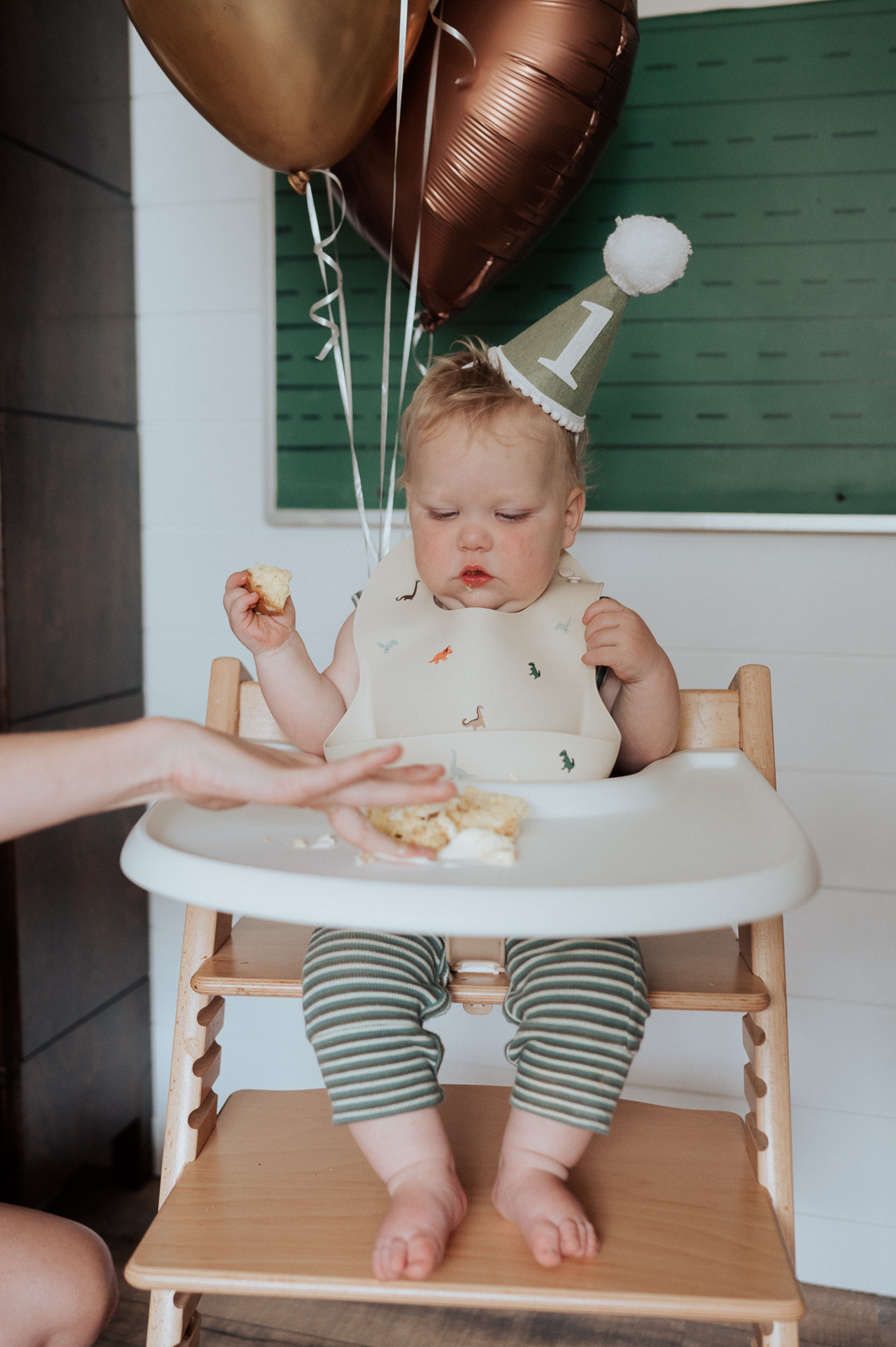 A National Parks First Birthday for Our Wild One