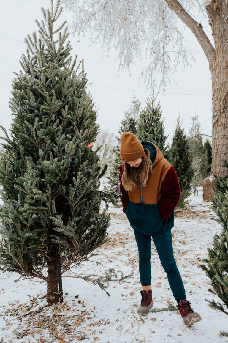 The Christmas Tree Hunt – Oak + Oats